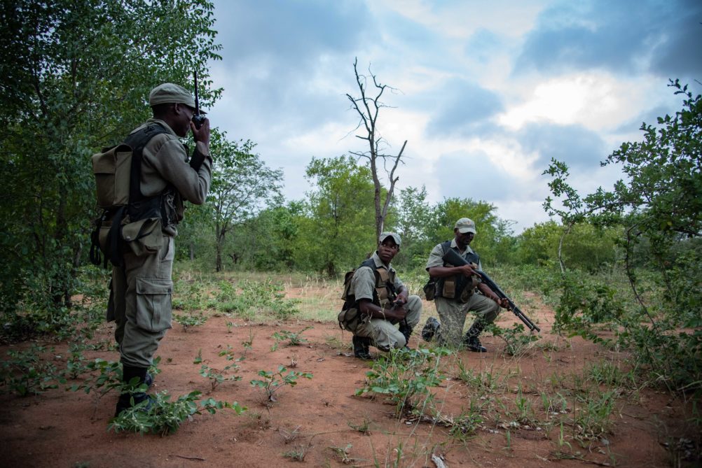 Honouring our bravest on World Ranger Day | Parque Nacional de Limpopo