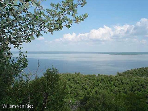 Prof Willem van Riet’s visit to Limpopo National Park | Parque Nacional ...