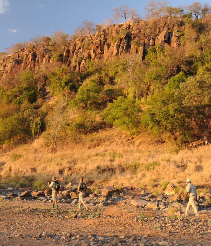 Rates and Entry Fees | Parque Nacional de Limpopo